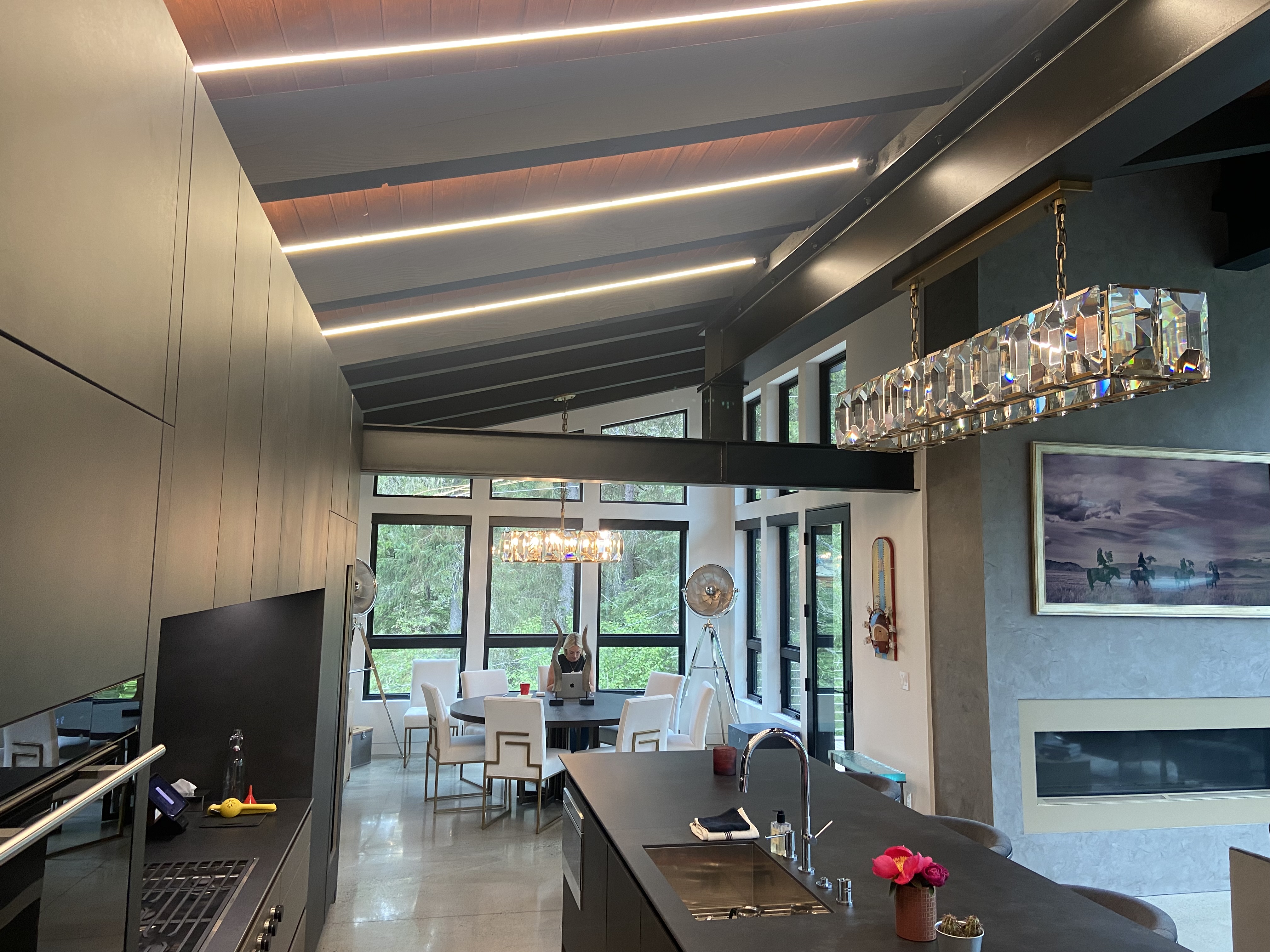 PureEdge Lighting - Lazer Line Lens Direct Or DirectIndirect Suspended ...