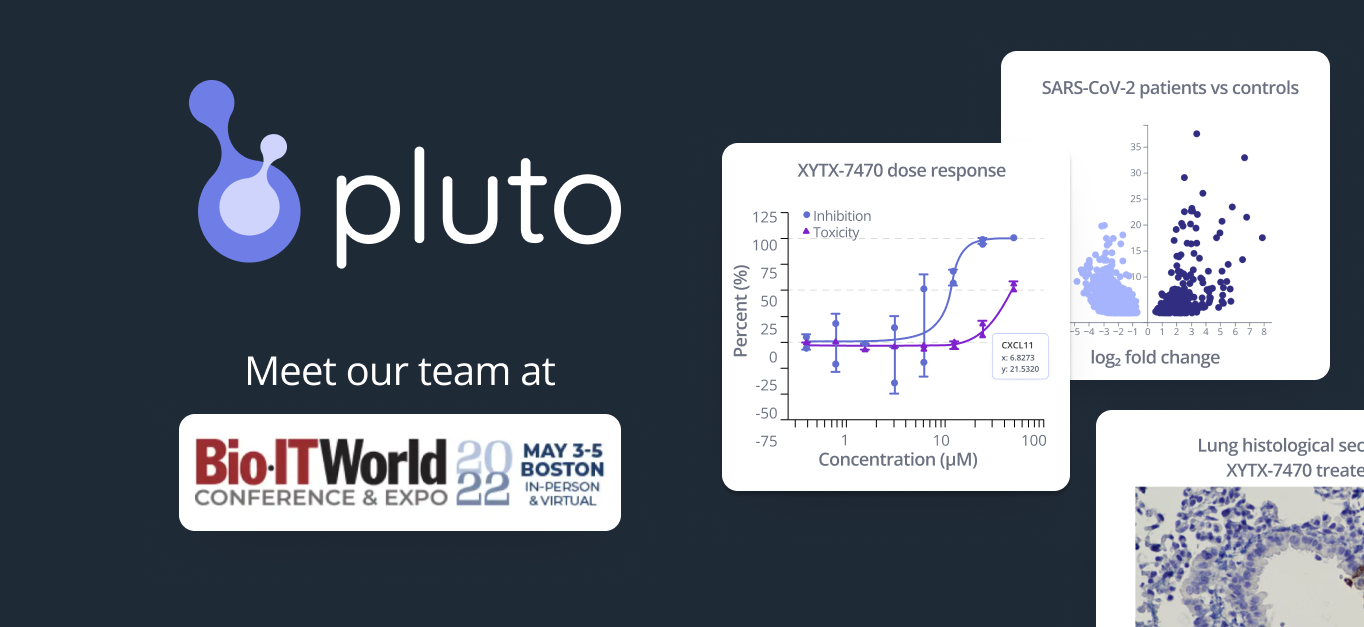 Referral Program - Pluto