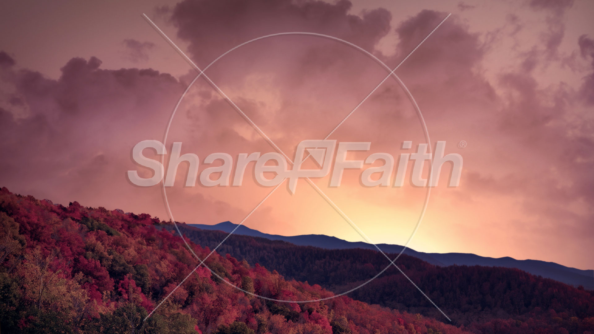 ShareFaith Media » Wilderness Fall: 11 – ShareFaith Media