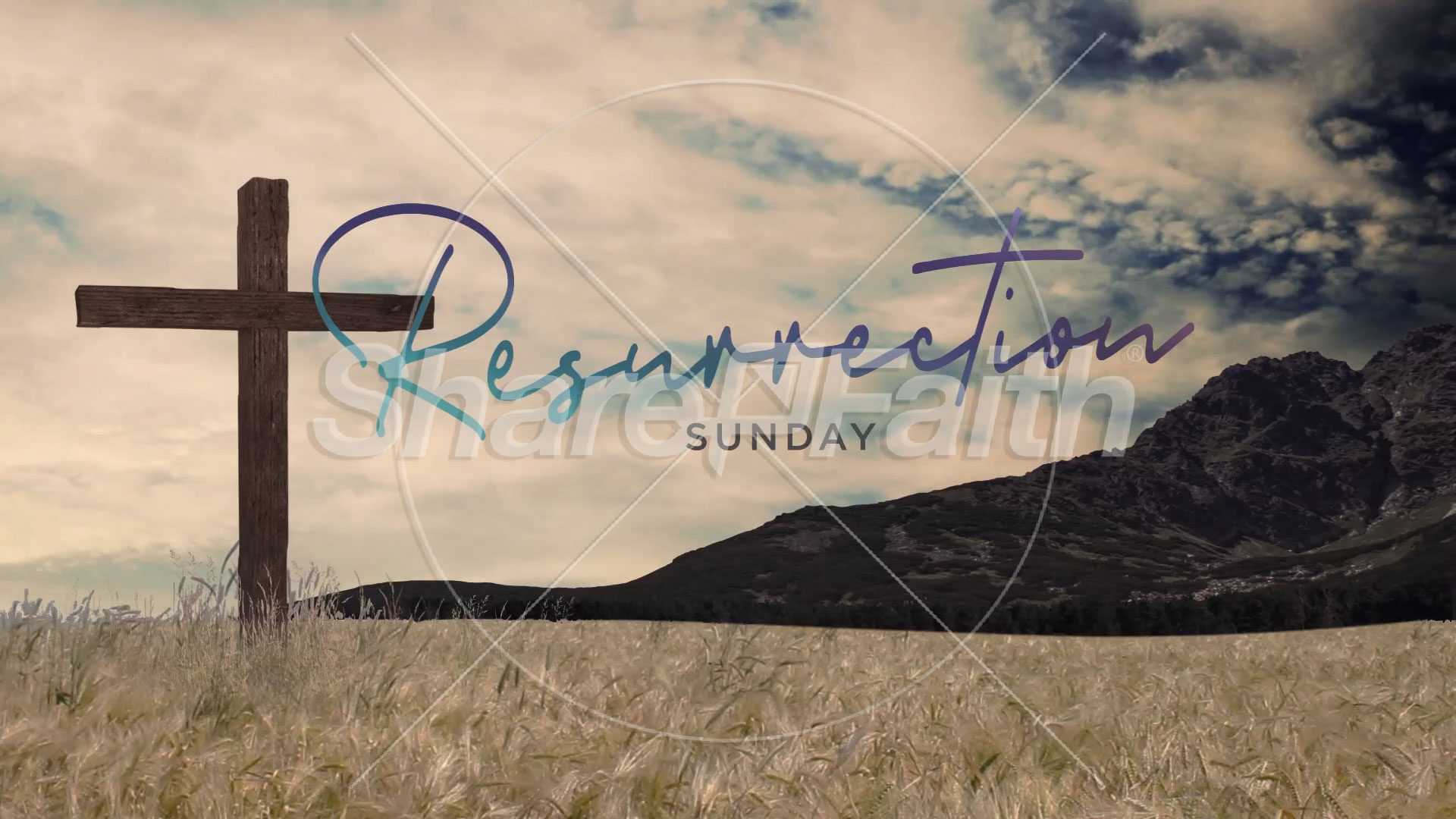 ShareFaith Media » Risen Collection: Resurrection Sunday – ShareFaith Media