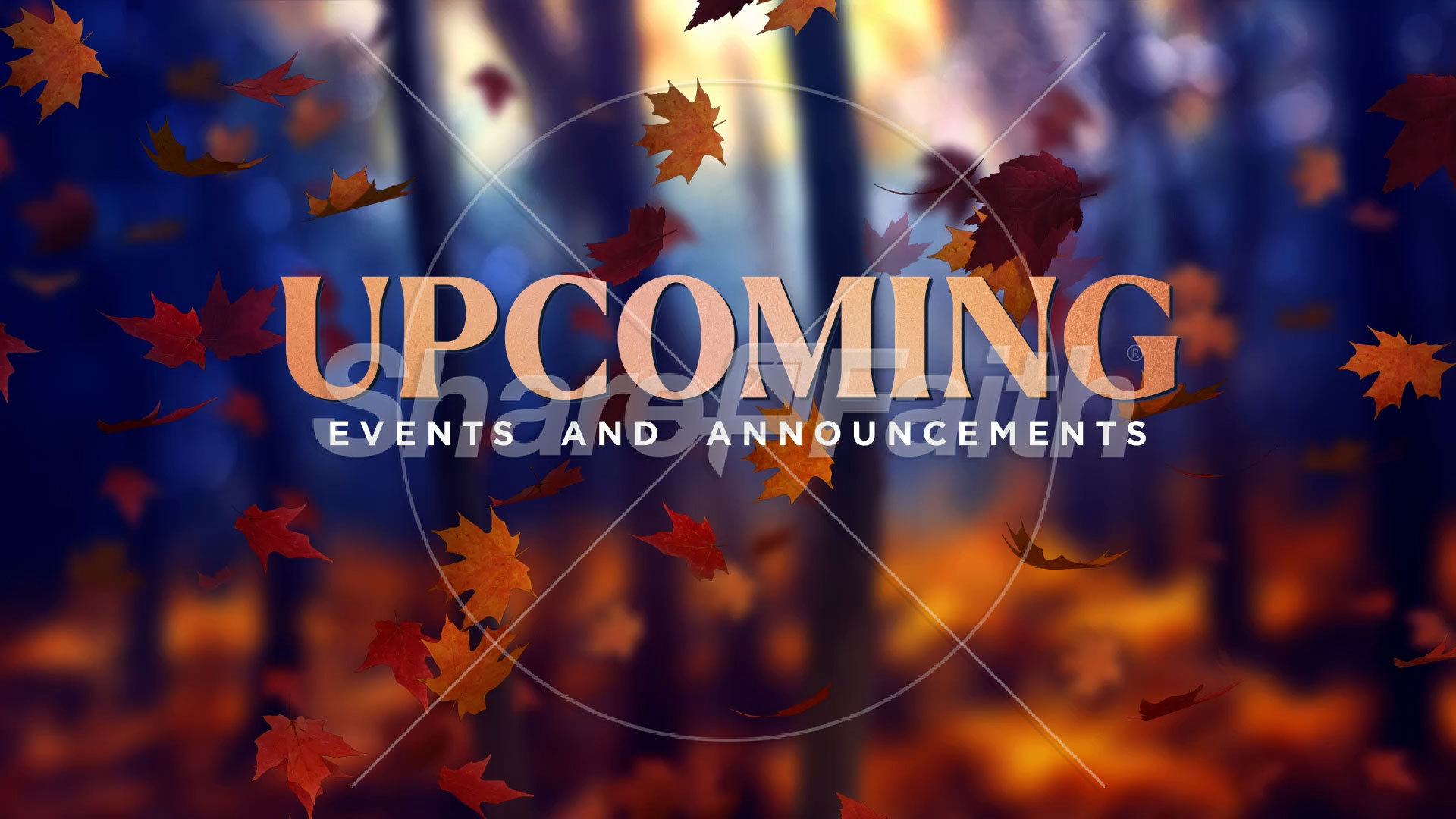 ShareFaith Media » Fall Woods: Upcoming Motion – ShareFaith Media