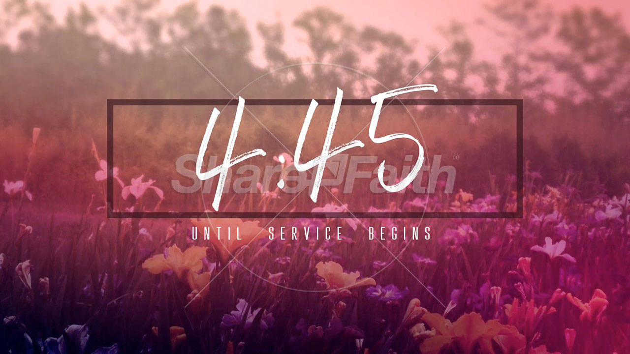 ShareFaith Media » Wildflower Collection: Countdown – ShareFaith Media