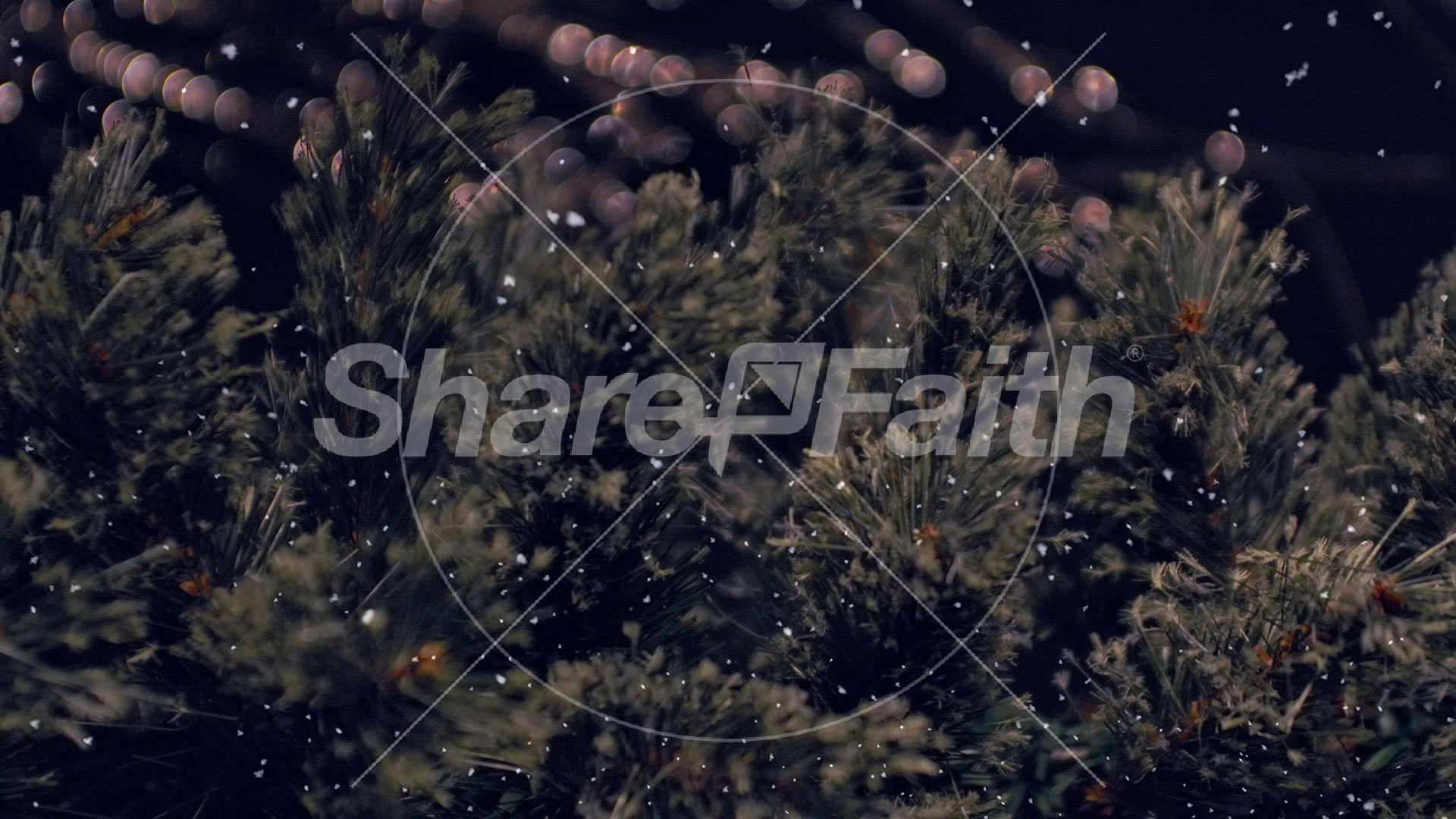 ShareFaith Media » Christmas Tree: 4 – Motion – ShareFaith Media