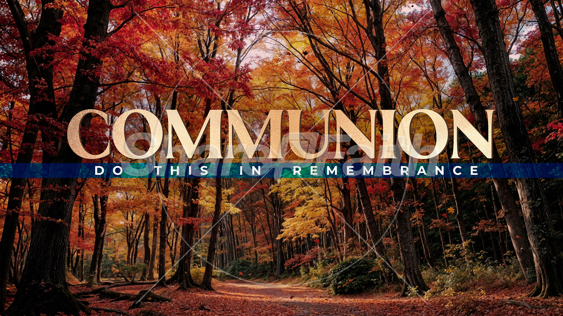 ShareFaith Media » Forest Fall Collection: Forest Fall Communion ...