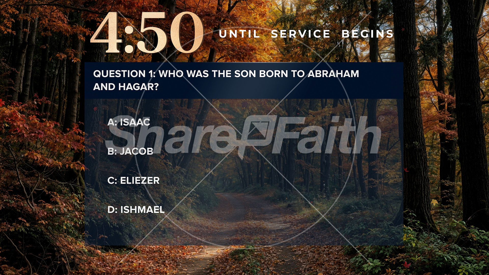ShareFaith Media » Forest Fall Collection: Forest Fall Trivia Countdown ...