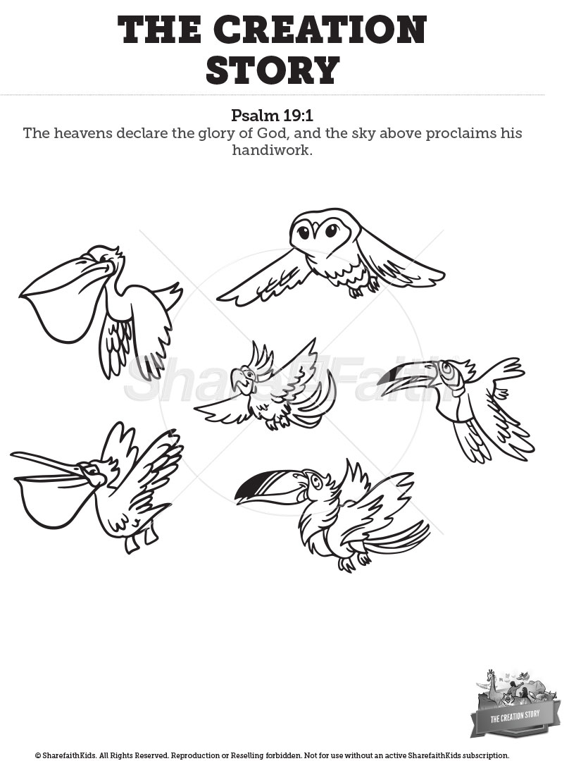 ShareFaith Media » The Creation Story: Coloring Pages – ShareFaith Media