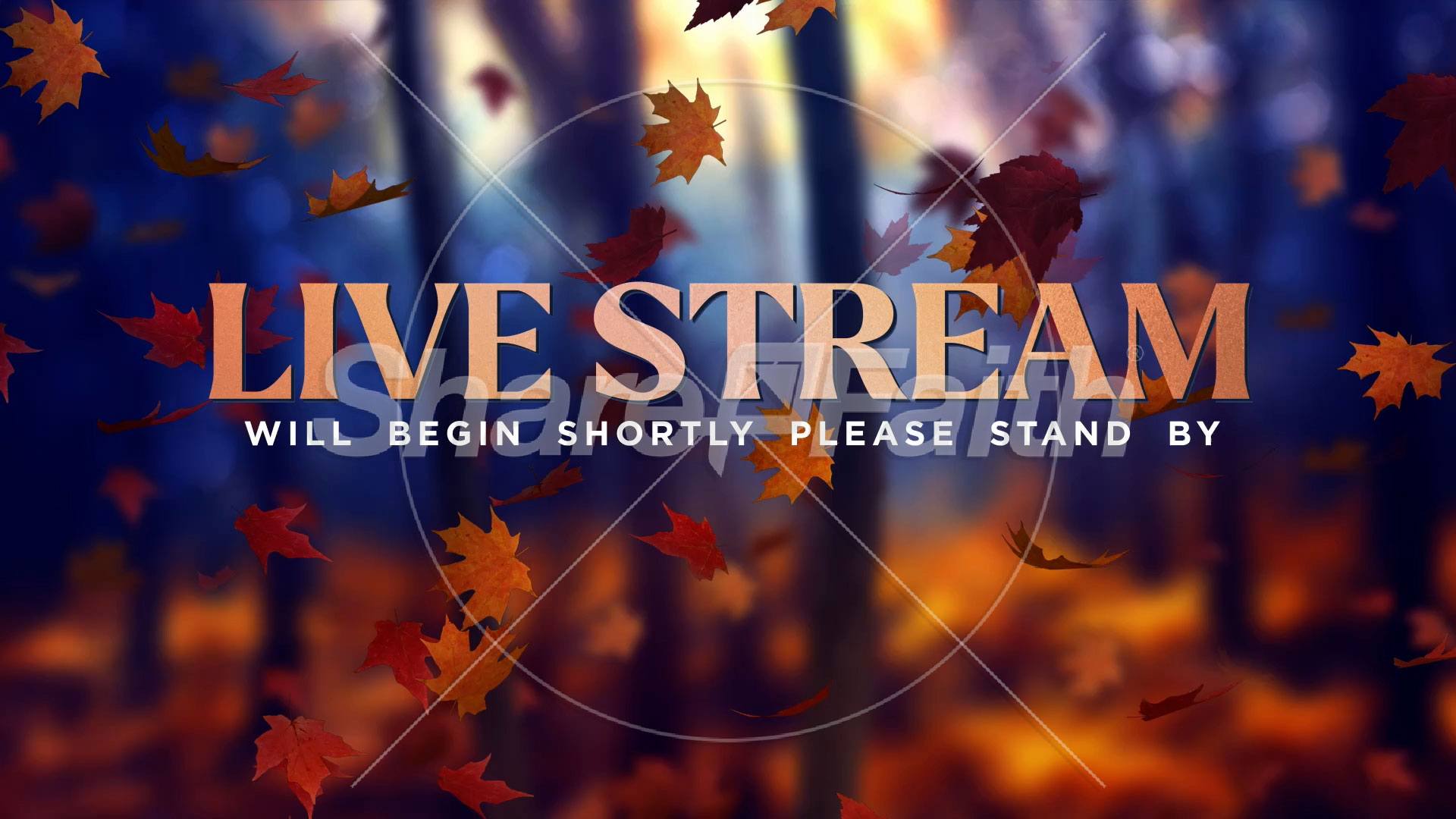 ShareFaith Media » Fall Woods: Live Stream Motion – ShareFaith Media