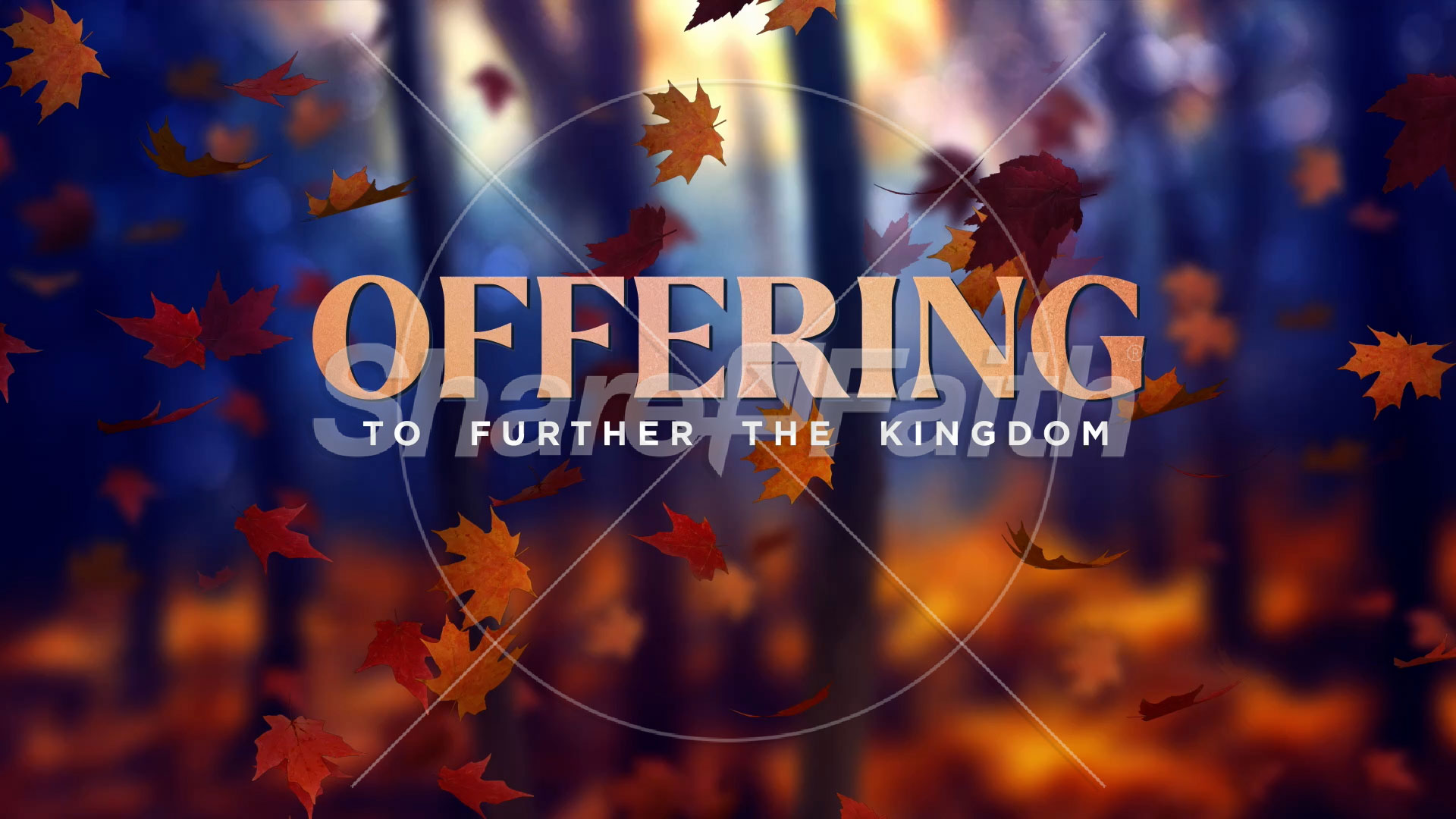 ShareFaith Media » Fall Woods: Offering Motion – ShareFaith Media