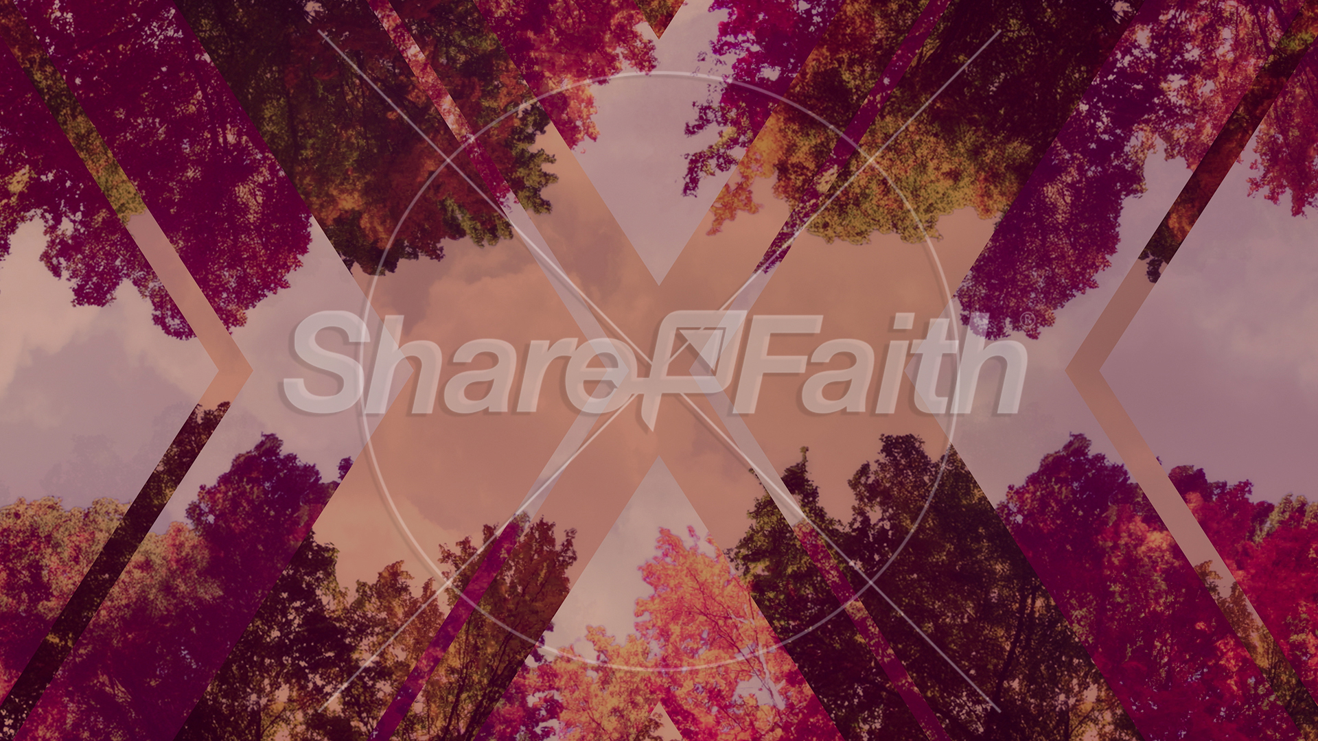 ShareFaith Media » Fall Trees Collection: Fall Trees 7 Remix Motion ...