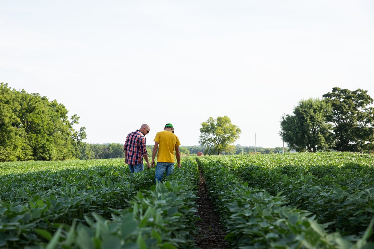 Crop Scouting 101 | Precision Planting | Upgrade Your Farm Equipment