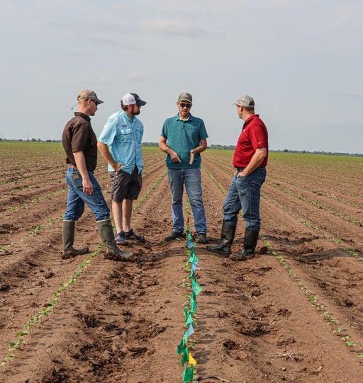 Do I Have Uneven Emergence?