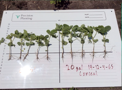 High Yield Soybean Study