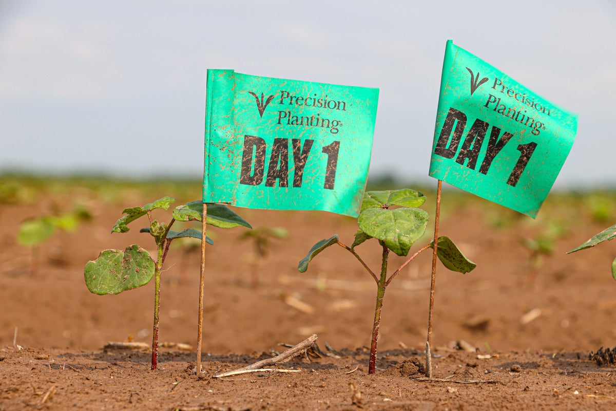 Achieving Consistent Emergence Takes a System | Precision Planting ...