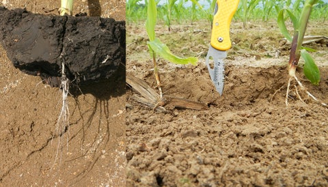 AirForce | Downforce Control | Planters