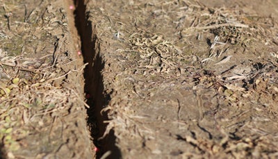 SmartFirmer | Seed Firmers | Planters