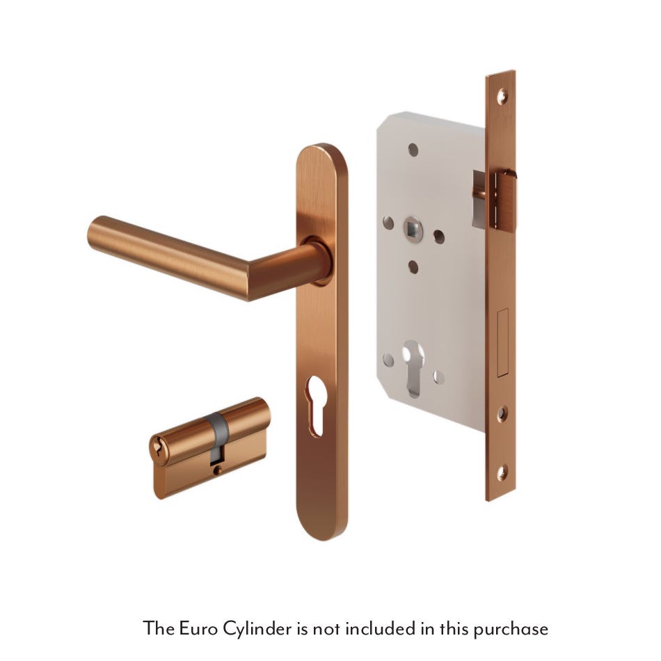 Davis Entry Door Handle & Lock Set - Brushed Copper | ABI Interiors