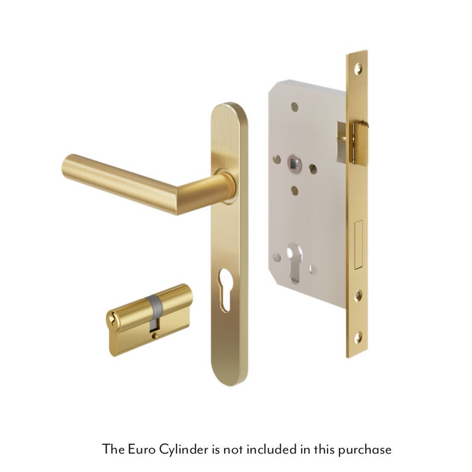 Davis Entry Door Handle & Lock Set - Brushed Brass | ABI Interiors