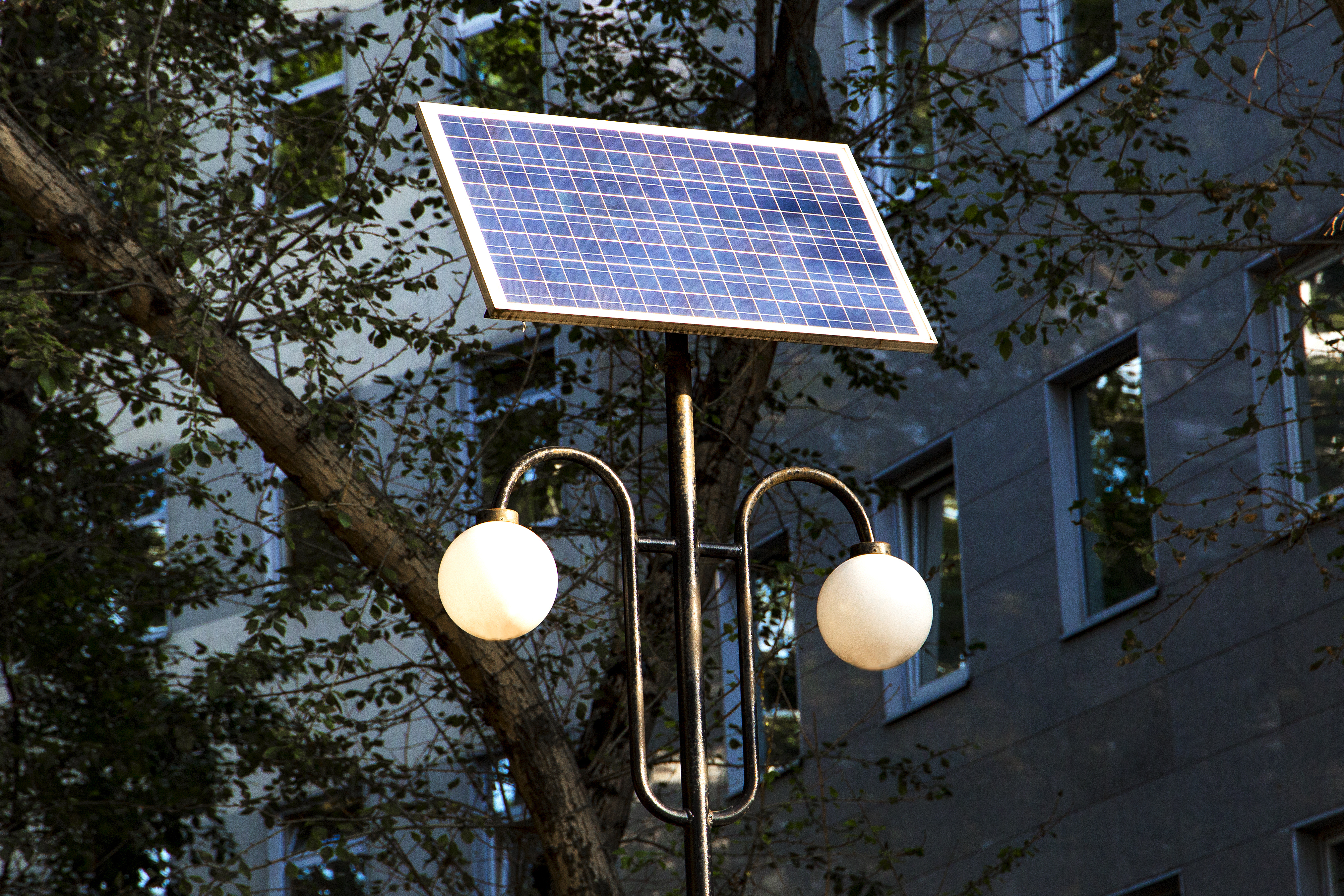 IEEE SA - World Standards Day Rules, FAQs, and Helpful Hints