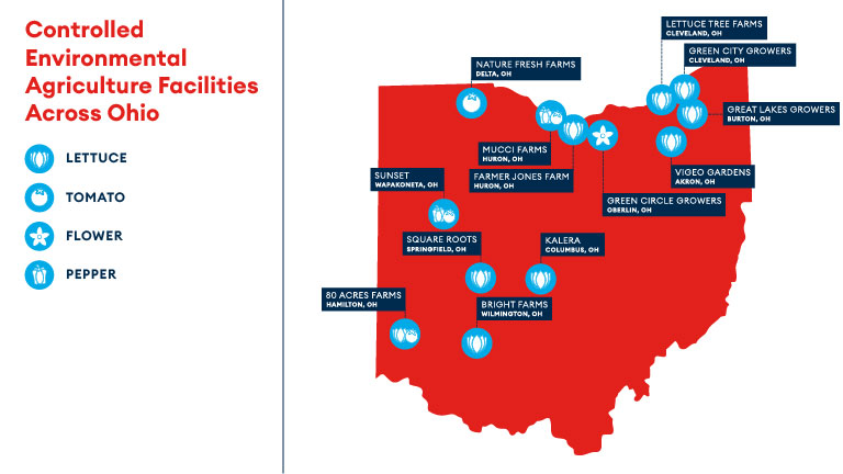 Controlled Environment Agriculture and the Future of Farming