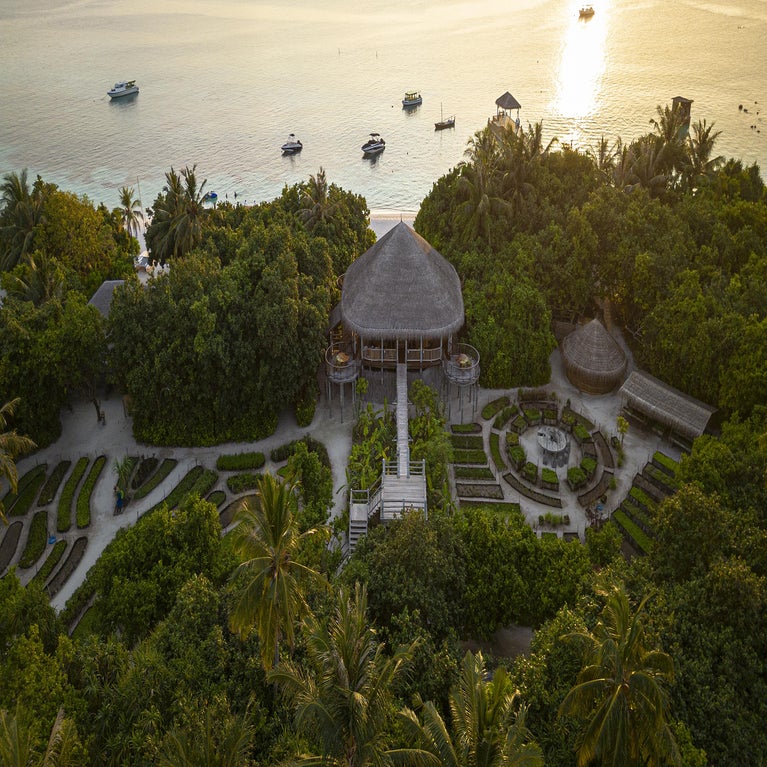 Eat With Six Senses | Plant-based menus in Maldives