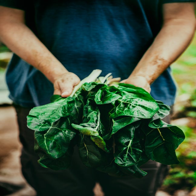 Healthy Eating on Vacation: Eat with Six Senses