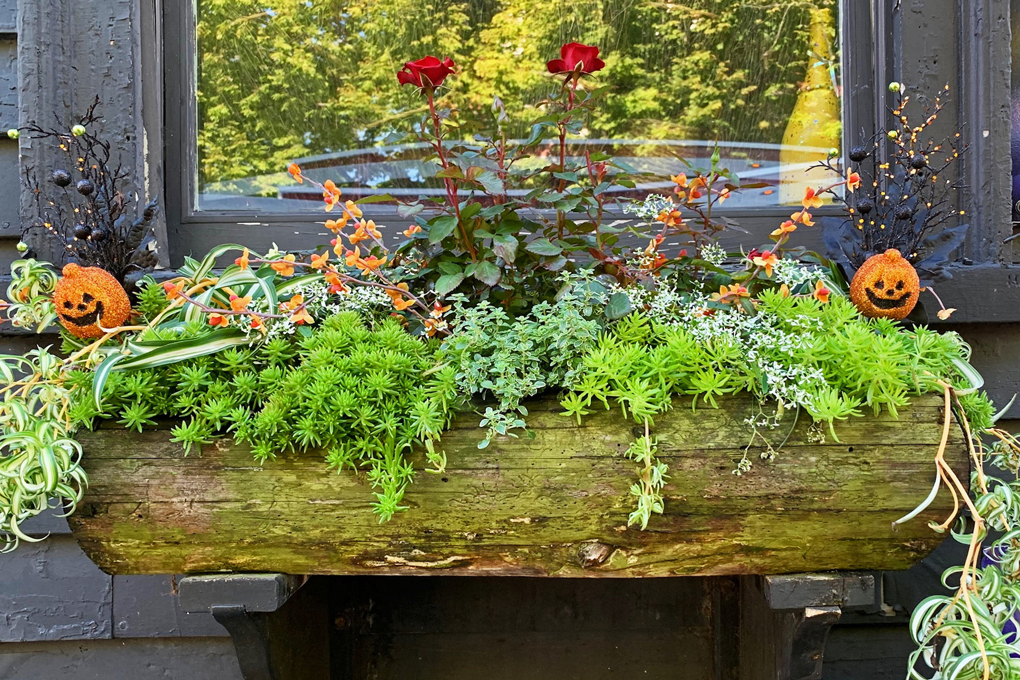 5 Ideas for Fall Window Boxes to Commemorate the Season