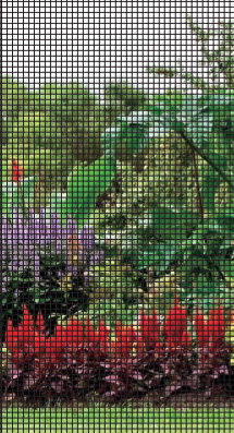 Wood-Clad Double-Hung Windows | Window World of the Triad