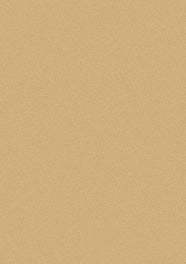 Wood-Clad Double-Hung Windows | Window World of the Triad