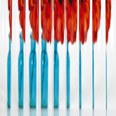 Wood-Clad Casement & Awning Windows Virginia Beach VA | Window World of ...