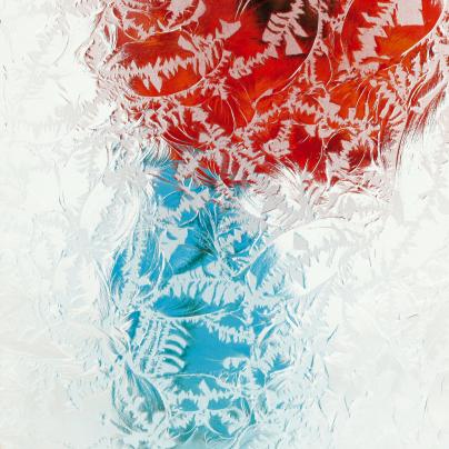 Wood-Clad Casement & Awning Windows Virginia Beach VA | Window World of ...