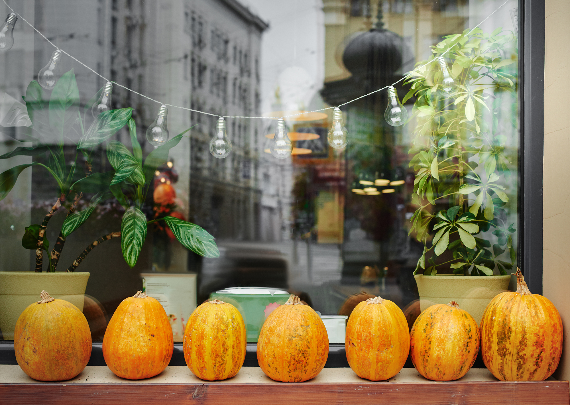 5 Ideas for Fall Window Boxes to Commemorate the Season
