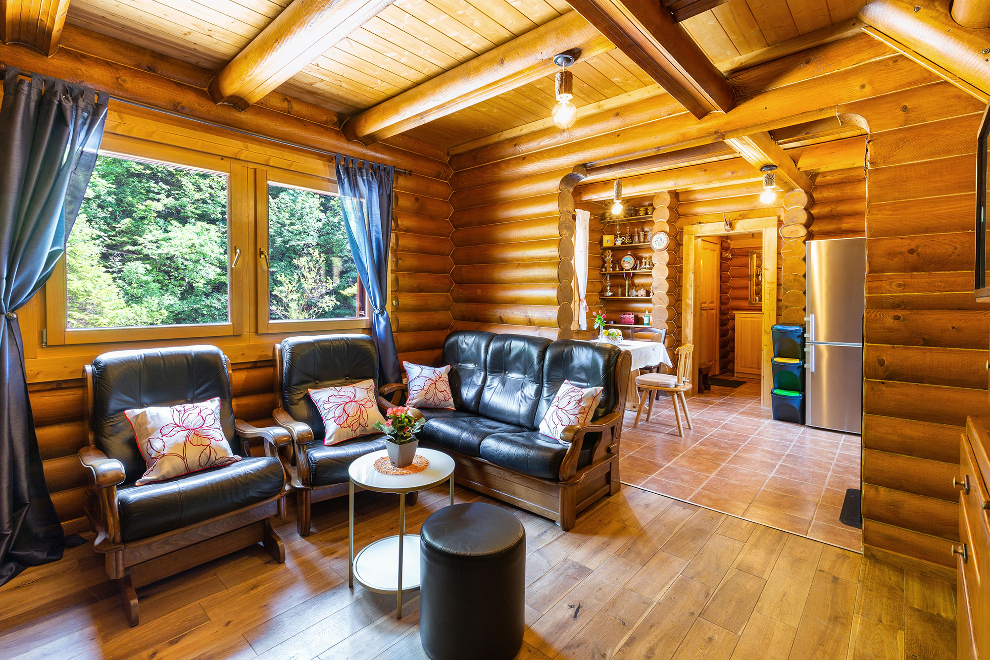 Guide to Choosing Log Cabin Windows & Doors in Blue Ridge NC