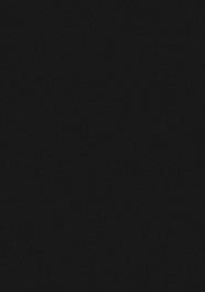 Wood-Clad Double-Hung Windows Virginia Beach VA | Window World of Tidewater