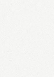 Wood-Clad Double-Hung Windows Virginia Beach VA | Window World of Tidewater