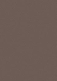 Wood-Clad Double-Hung Windows Virginia Beach VA | Window World of Tidewater