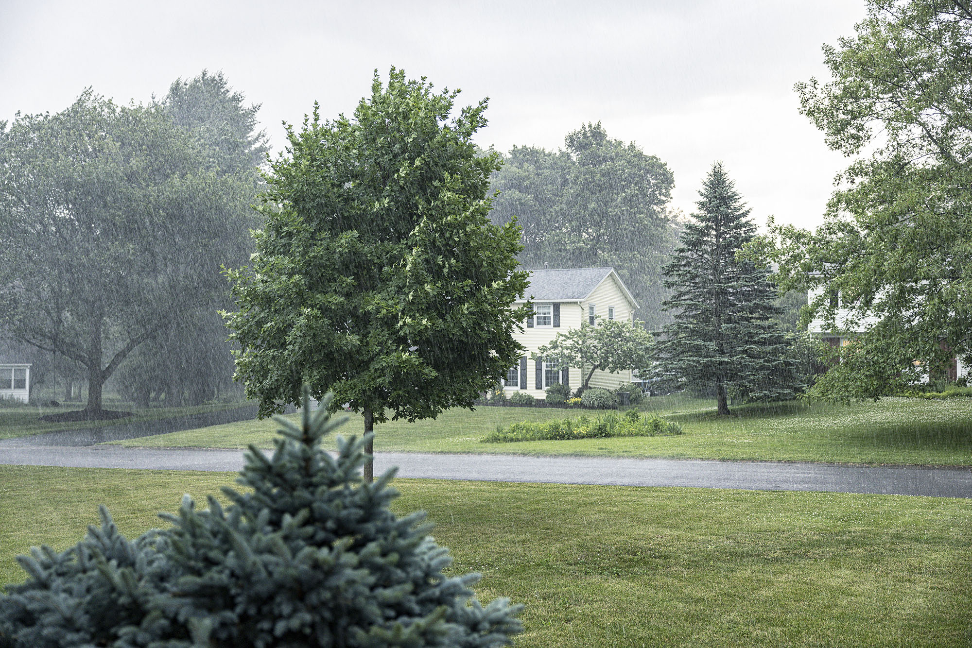 AAMA Certified Windows: What They Are & Why They Matter