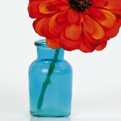 Wood-Clad Double-Hung Windows Virginia Beach VA | Window World of Tidewater