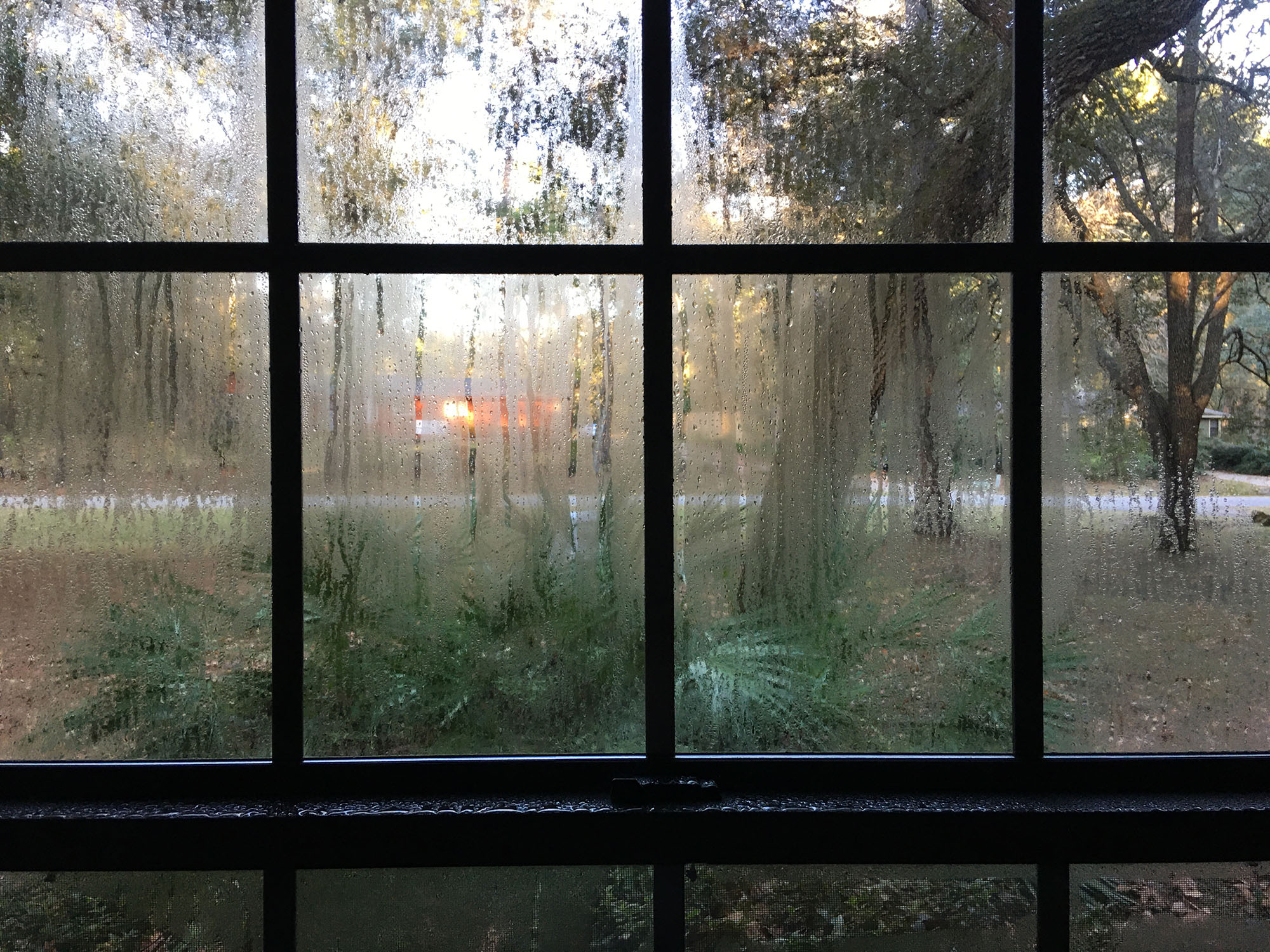 7 Benefits of Opening Windows at Home | WW Tri-Cities