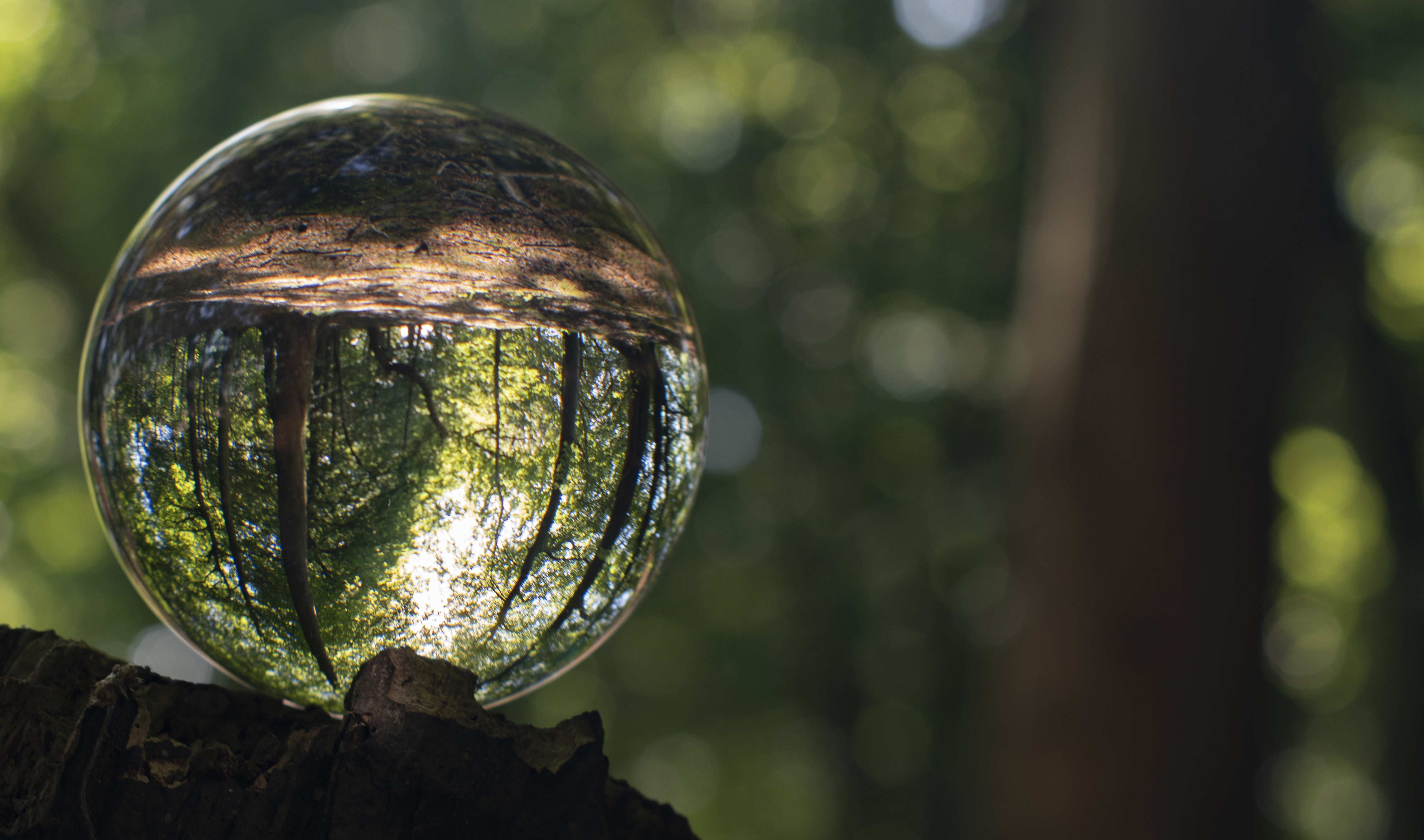 Gilbert + Tobin Lawyers: Law Firm in Sydney, Melbourne & Perth