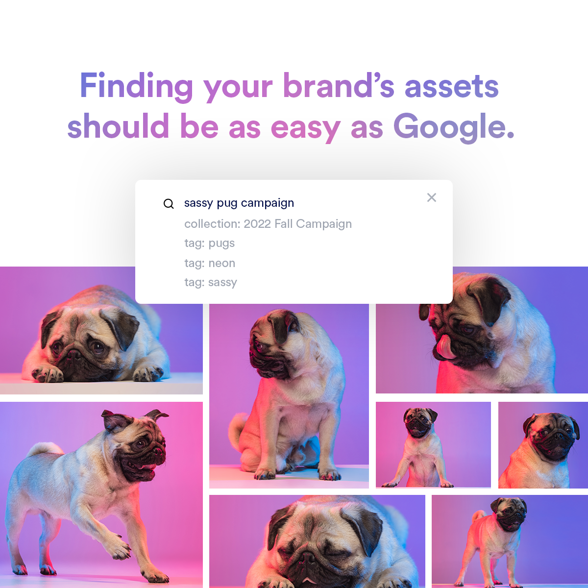 Brandfolder by Smartsheet | Overview