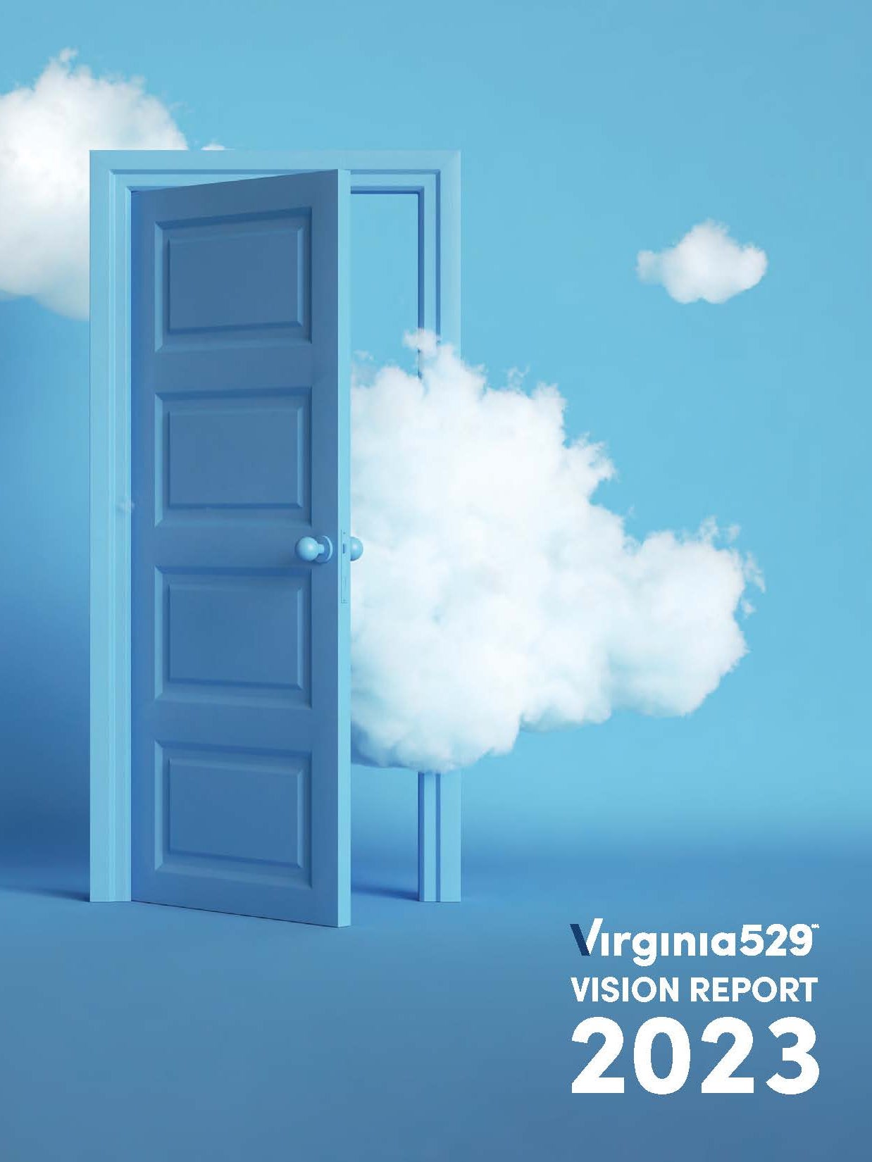 2023 Vision Report