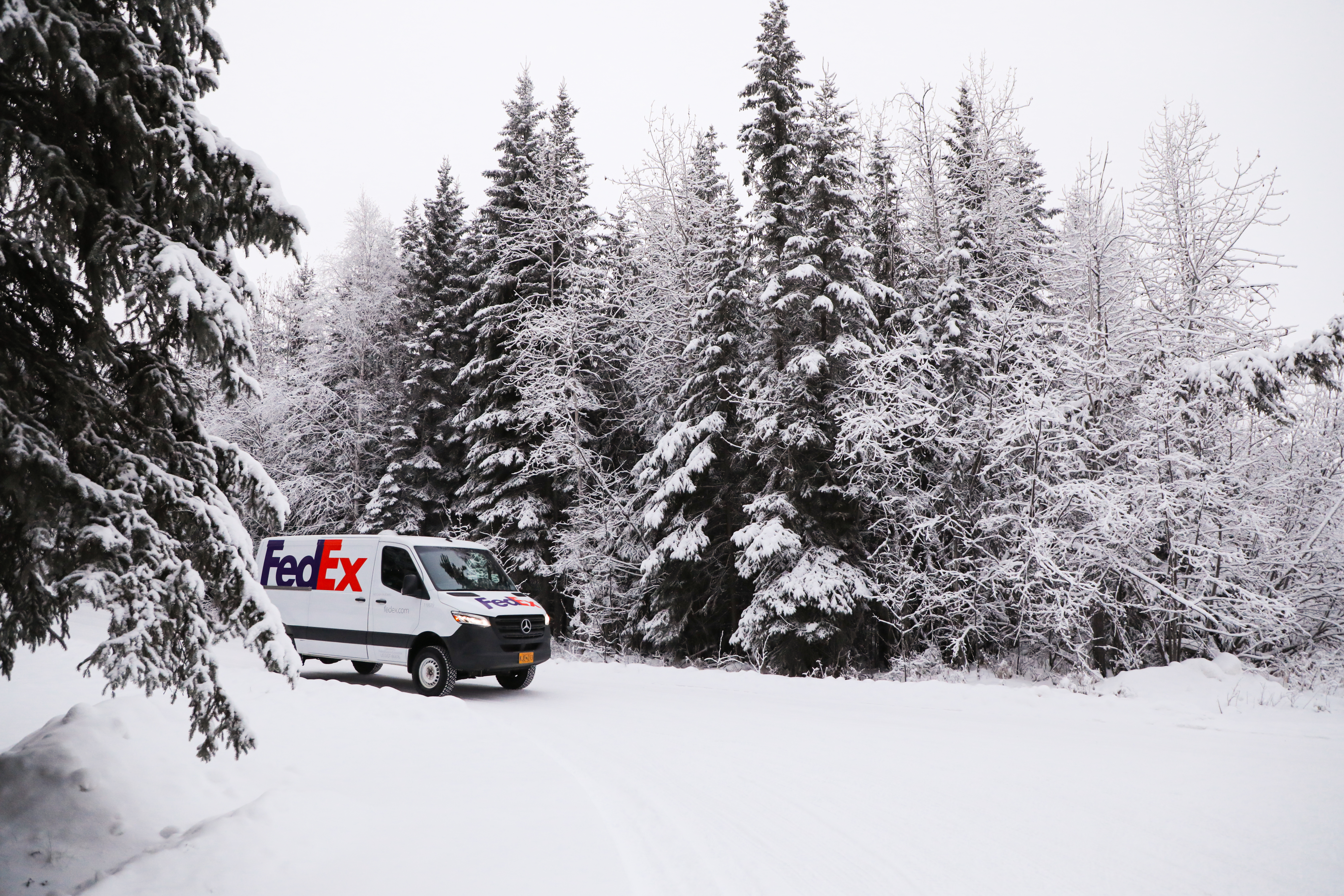 Track & Ship Online or Find Nearby Locations | FedEx