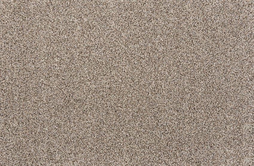 Stanton Carpet | Stanton | Quest Plush II Bark