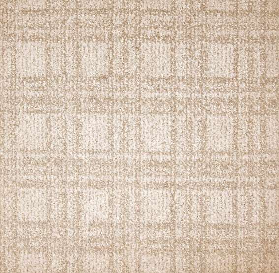 Stanton Carpet | Stanton | Excalibur Sand Swept