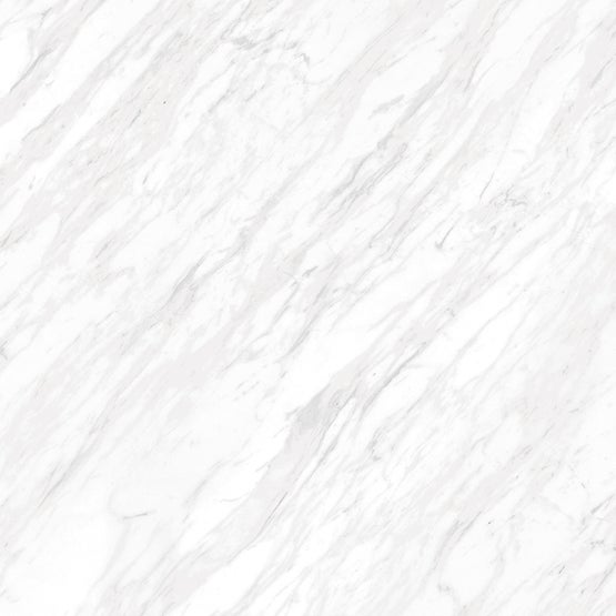 Stanton Carpet | Floors 2000 | Marbles Matte 24x24 Volakas Silk