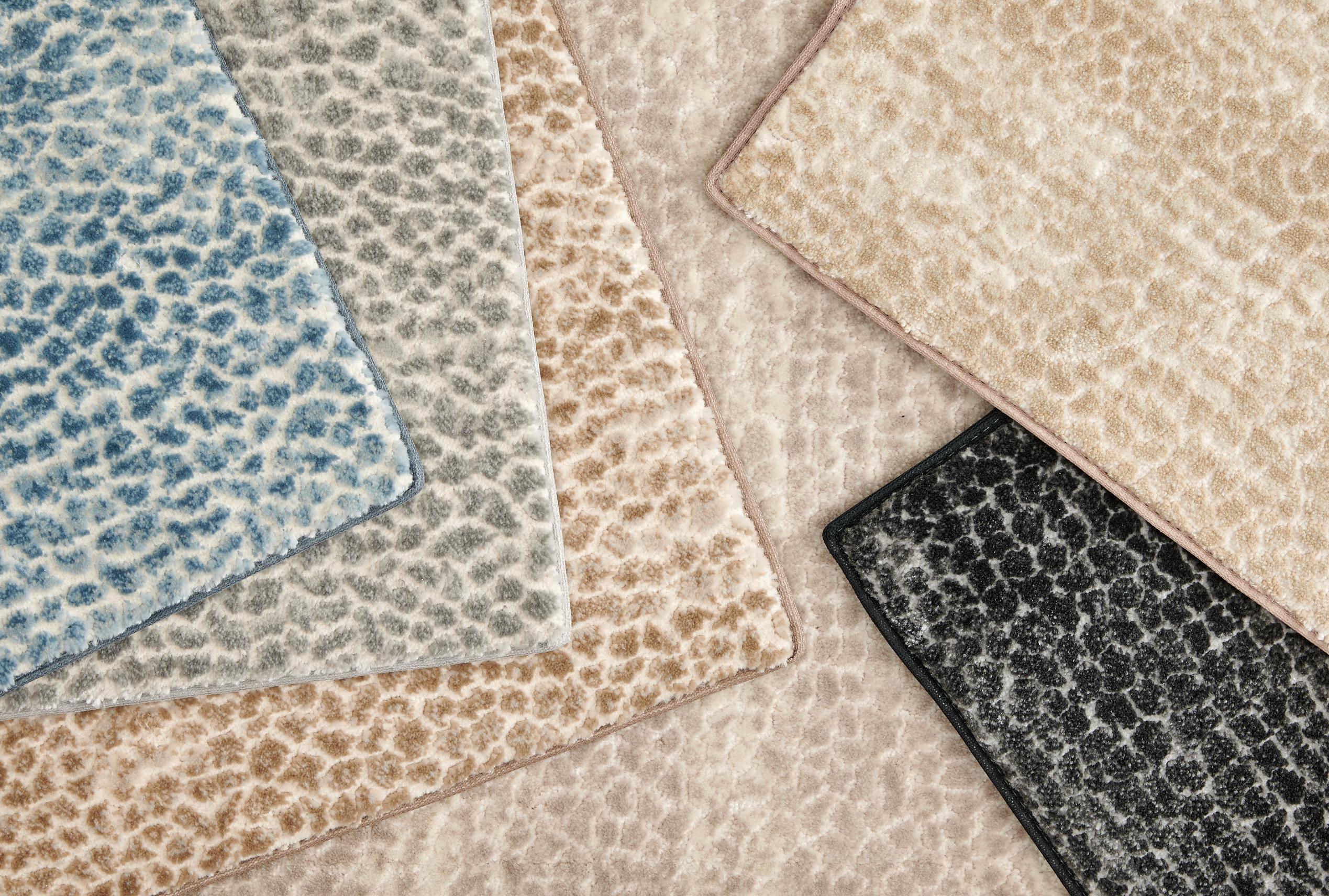 Stanton Carpet | Stanton | Allegory Graphite