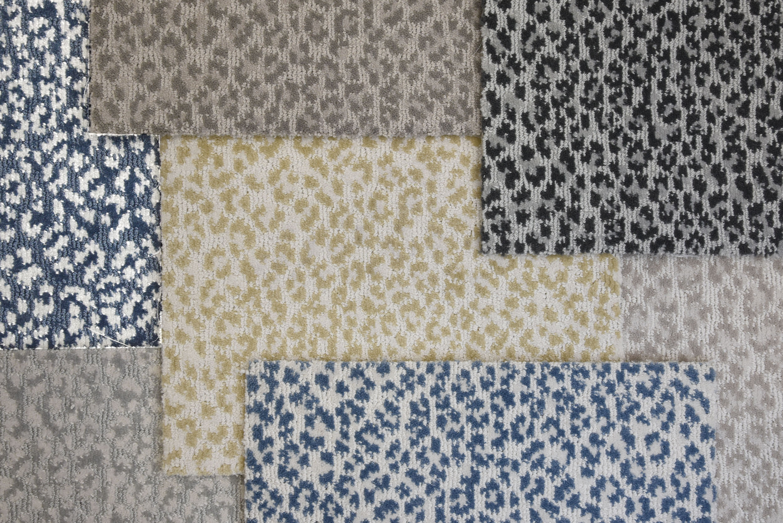 Stanton Carpet | Stanton | Adventure Platinum