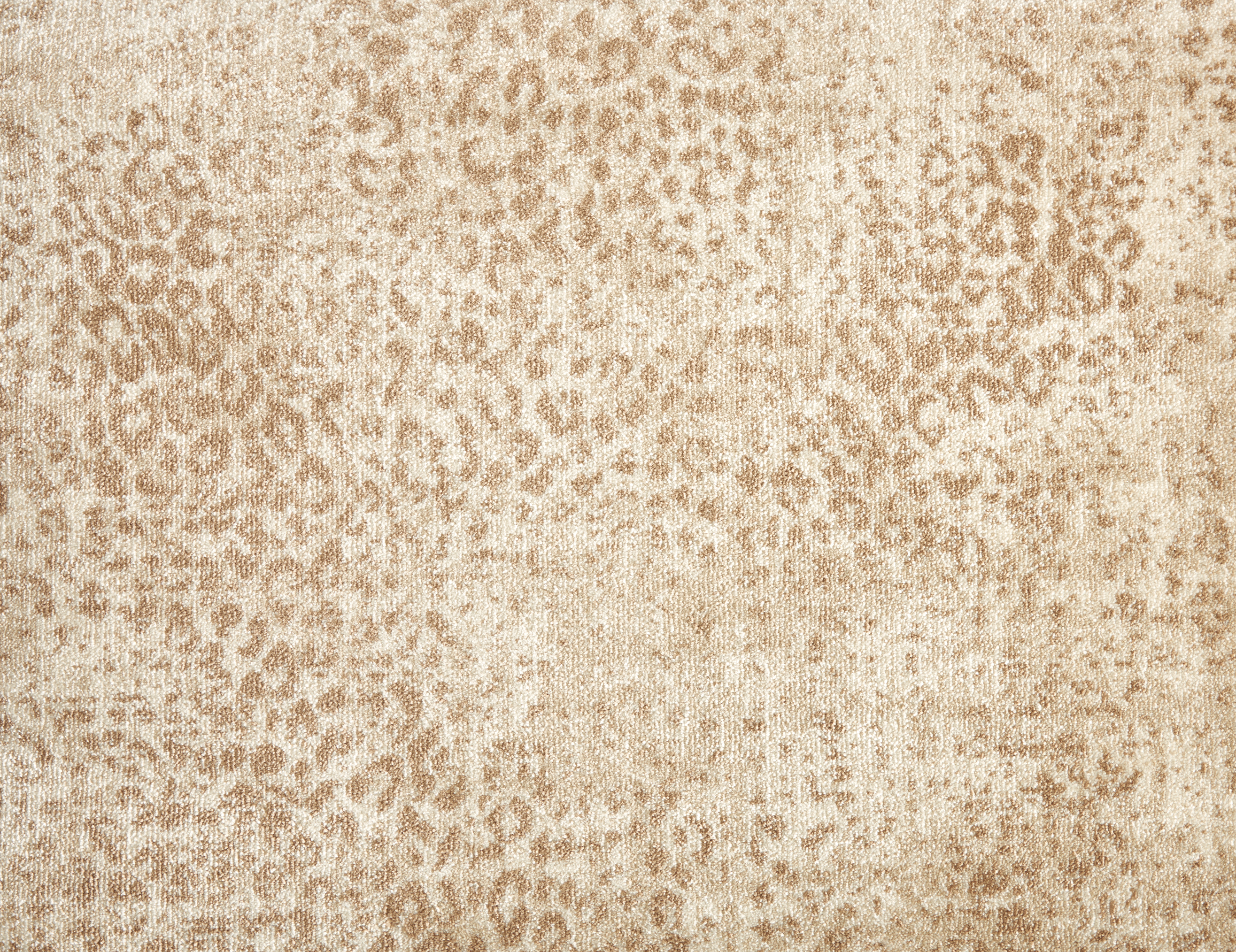 Stanton Carpet | Stanton | King Cheetah Desert