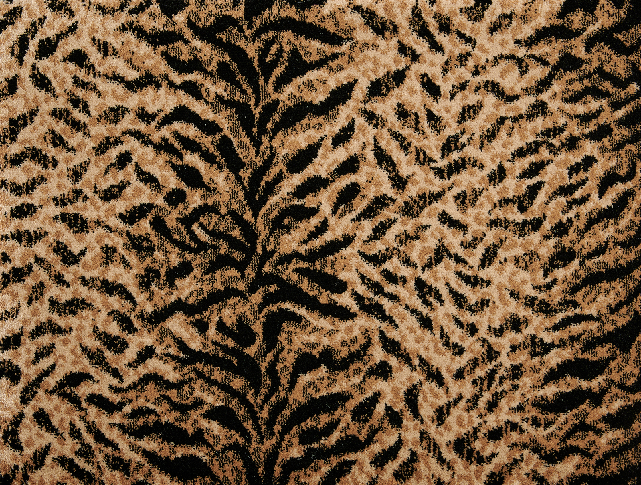 Stanton Carpet | Stanton | King Tiger Bronze