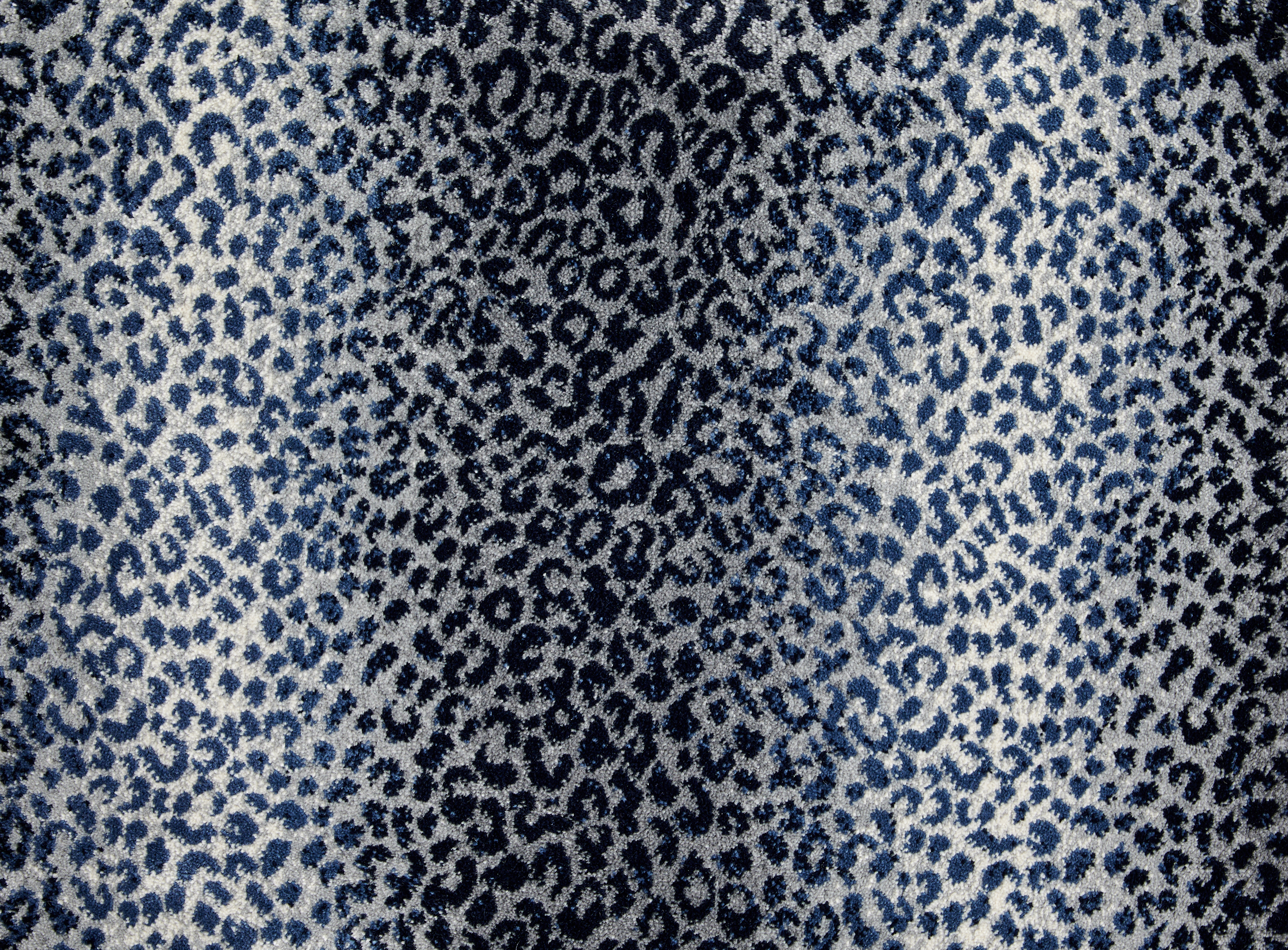 Stanton Carpet | Stanton | Mufasa Navy Blue